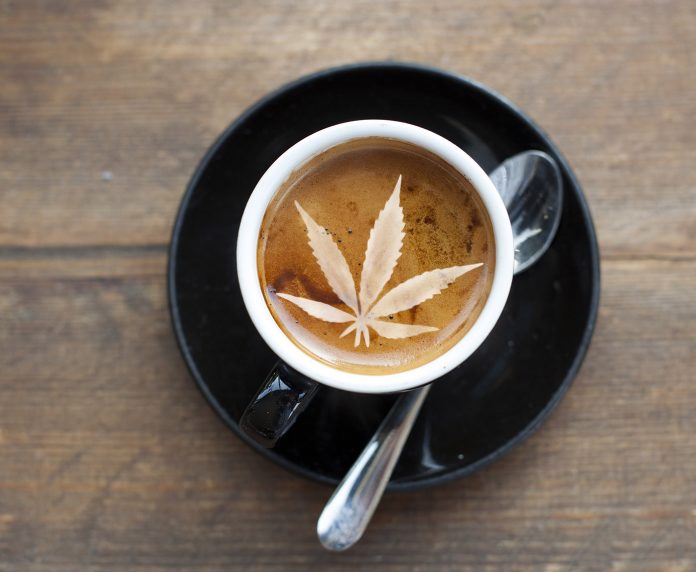 Cannabis Cafes Could be Coming to Oregon Soon - International Cannabis ...