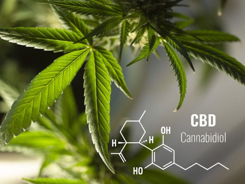 CBD Associated With Improved Memory In Preclinical Models